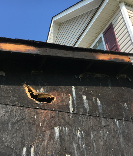 Home - The Jones Companies