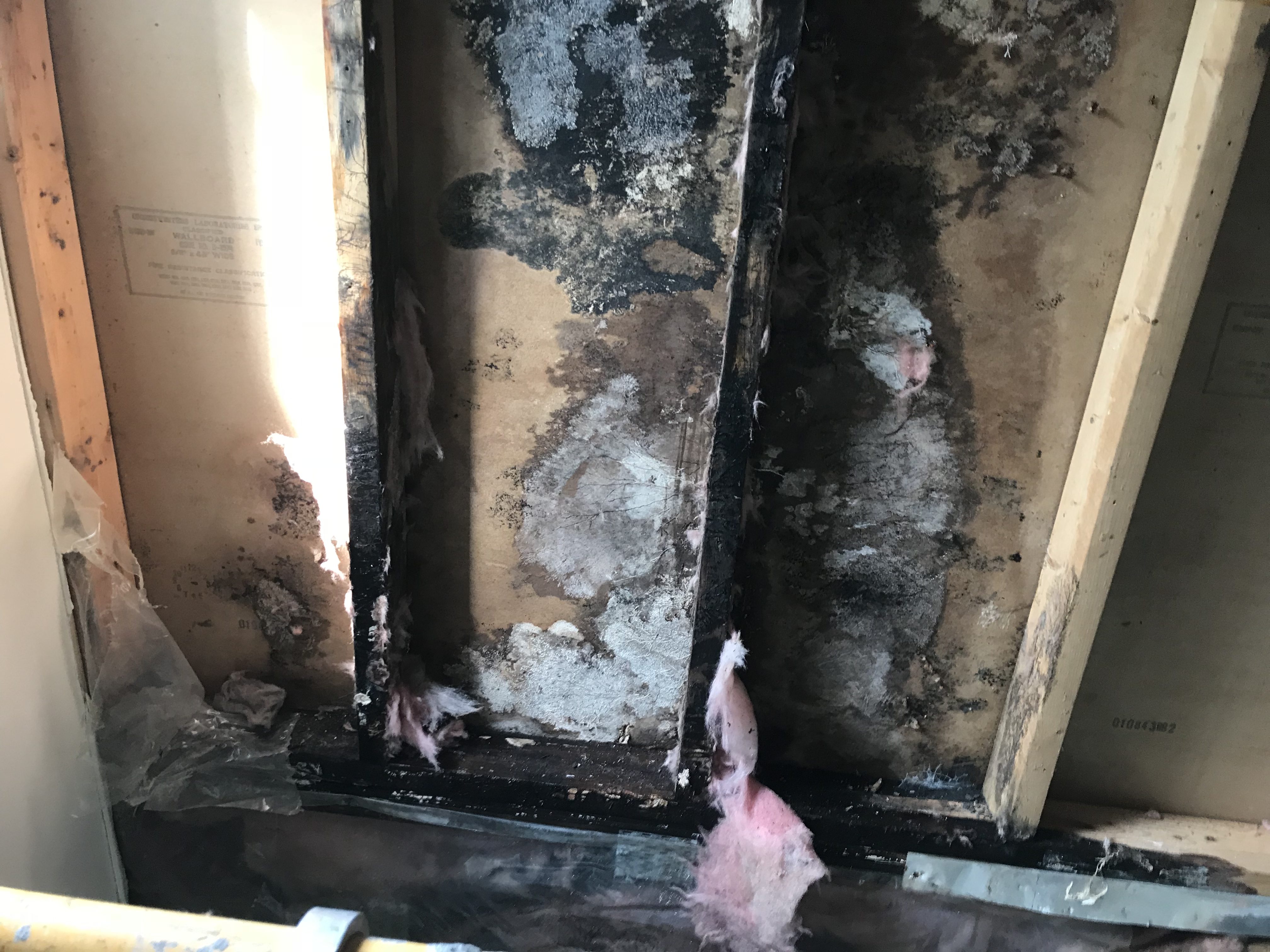 Testimonials - The Jones Companies