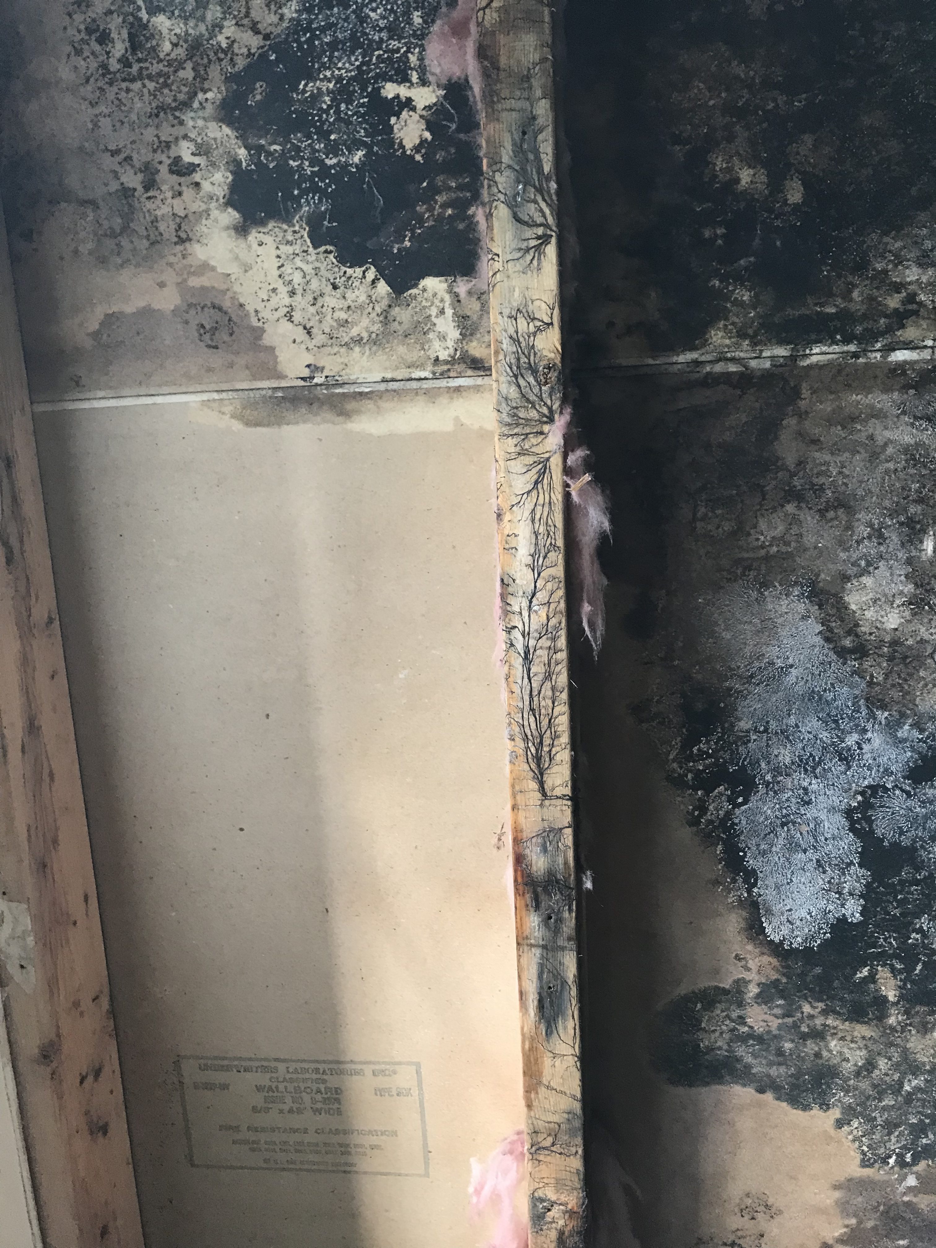 Testimonials - The Jones Companies