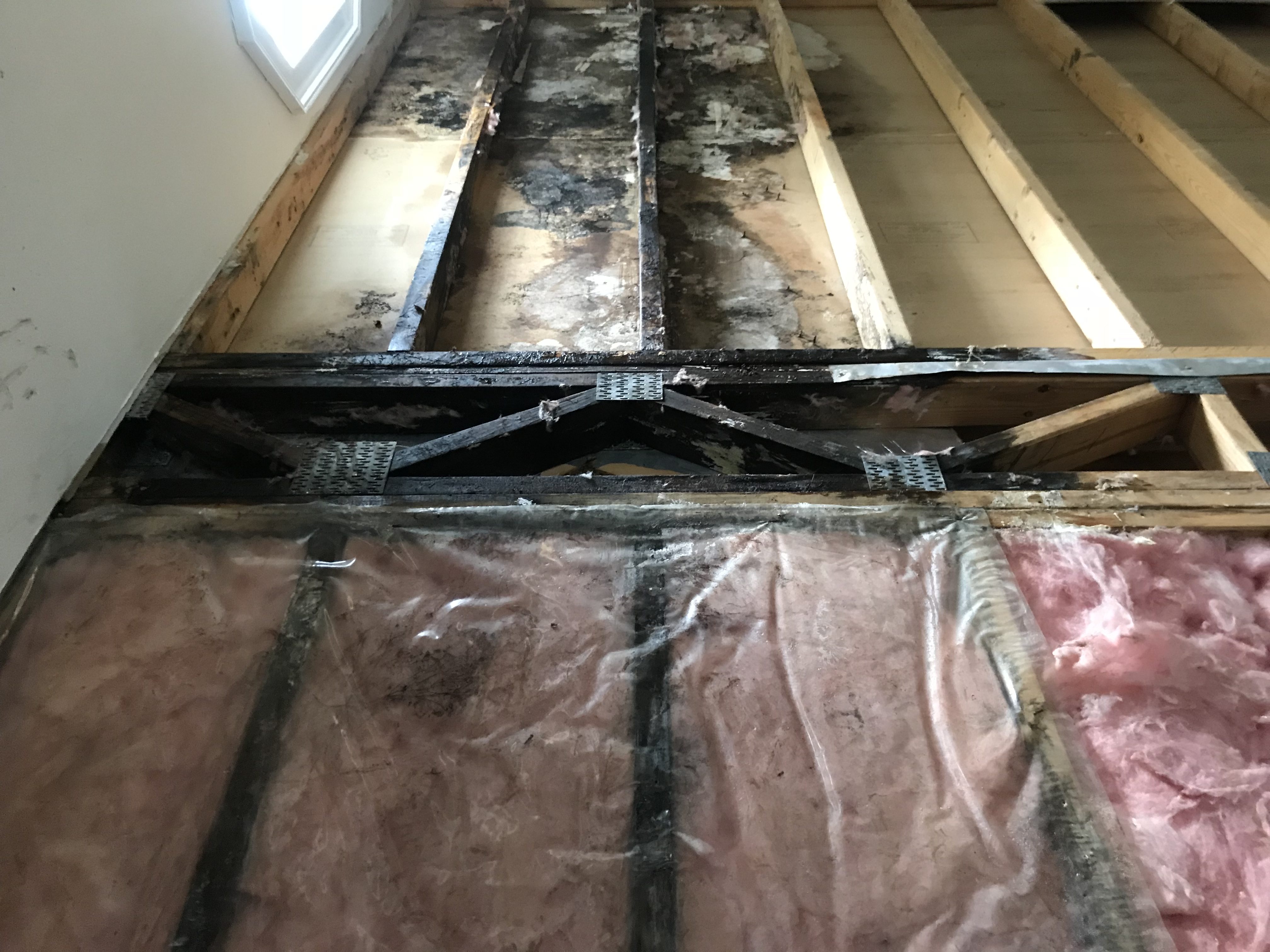 Testimonials - The Jones Companies